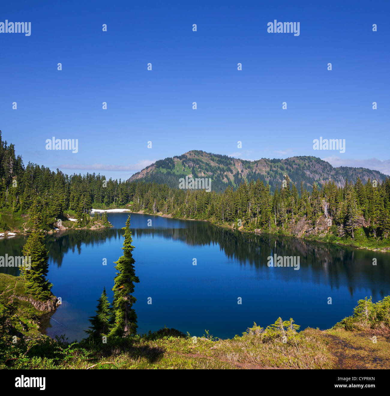 lake in mt. Baker Recreation Area,USA Stock Photo - Alamy
