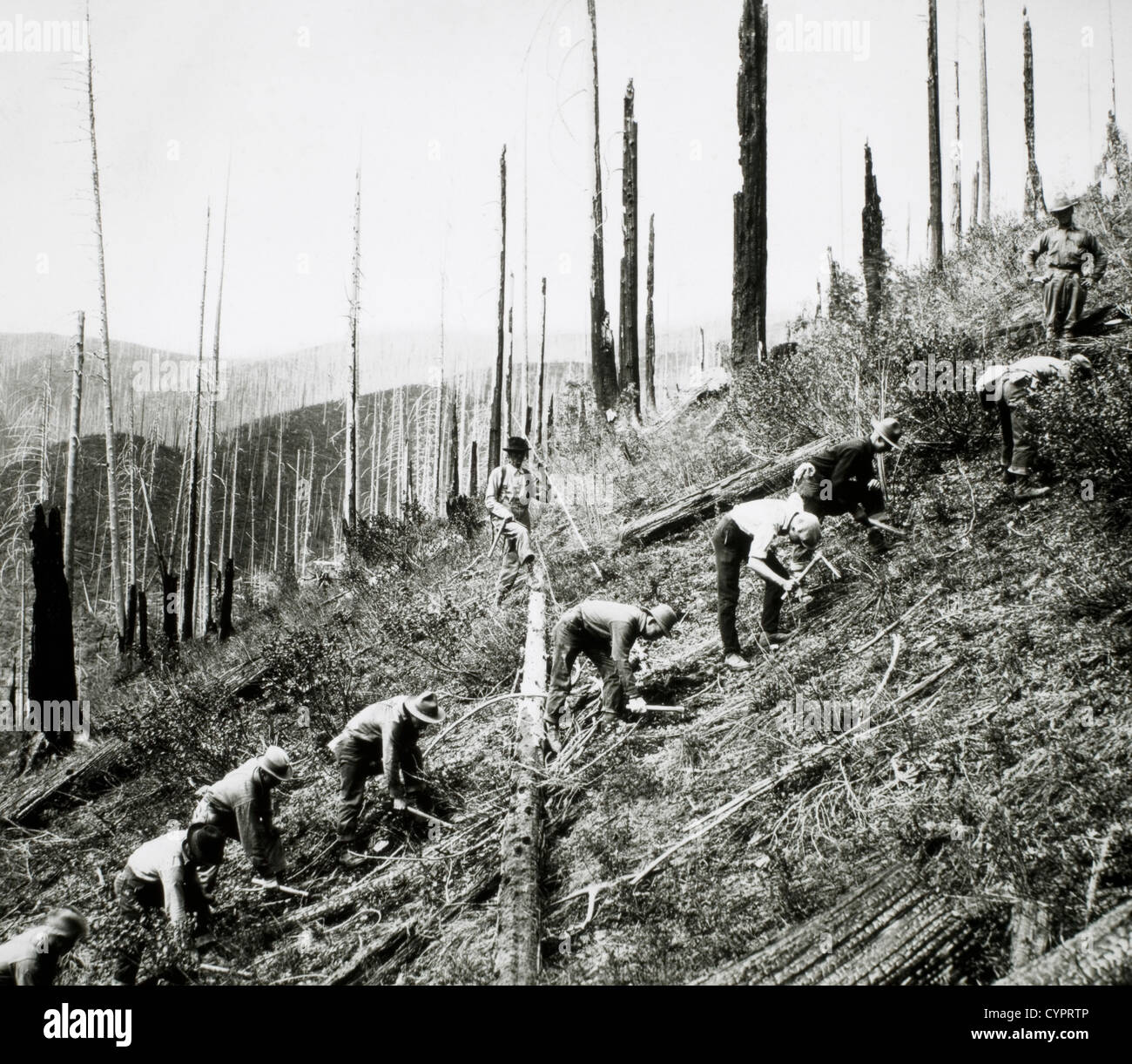 Civilian conservation corps 1930s hi-res stock photography and images ...