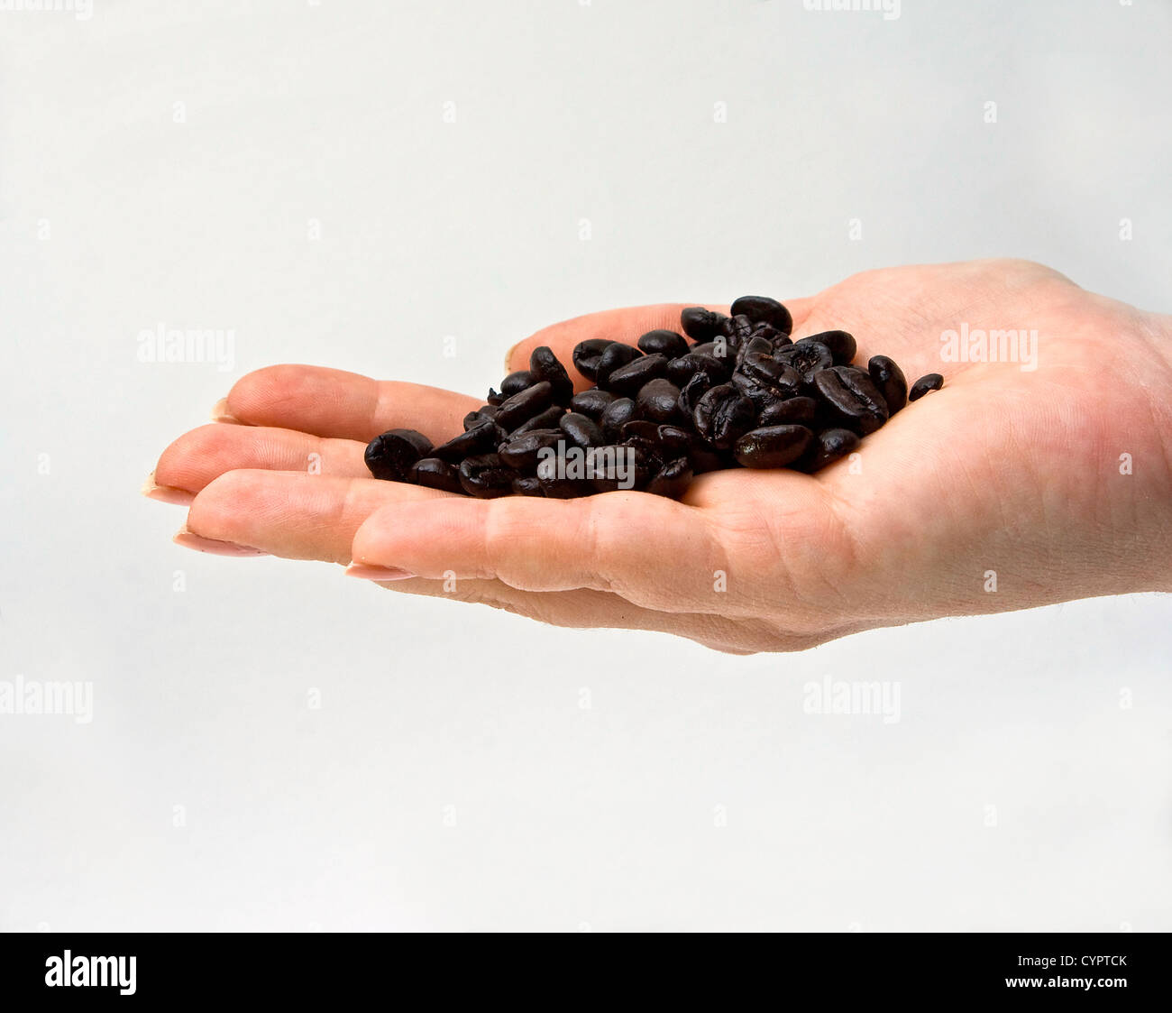Female hand presenting freshly dark roasted gourmet coffee beans on a ...