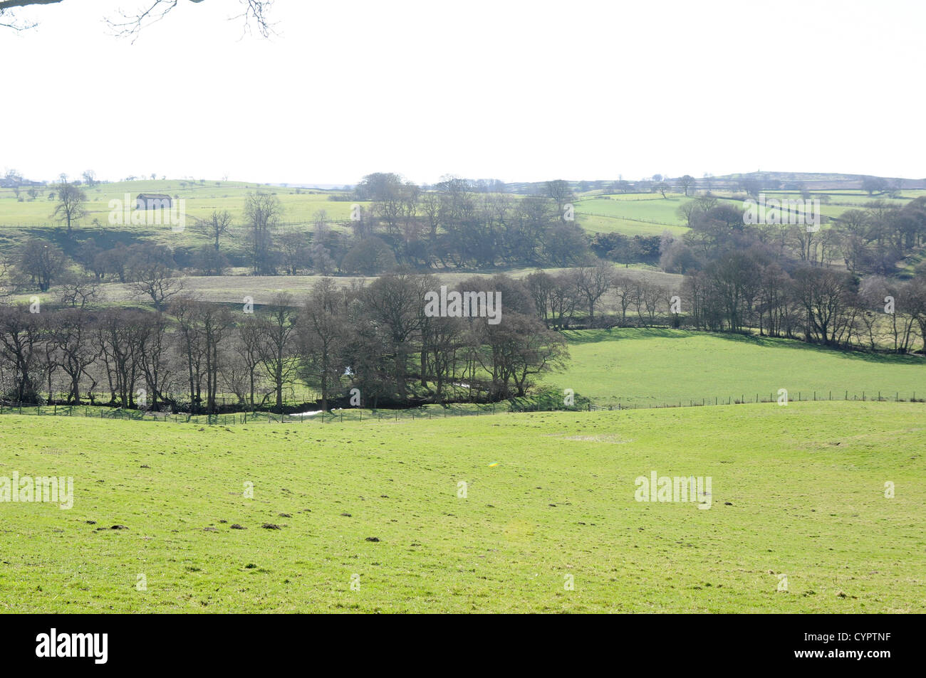 Beautiful sunny british countryside with grass fields and trees Stock ...