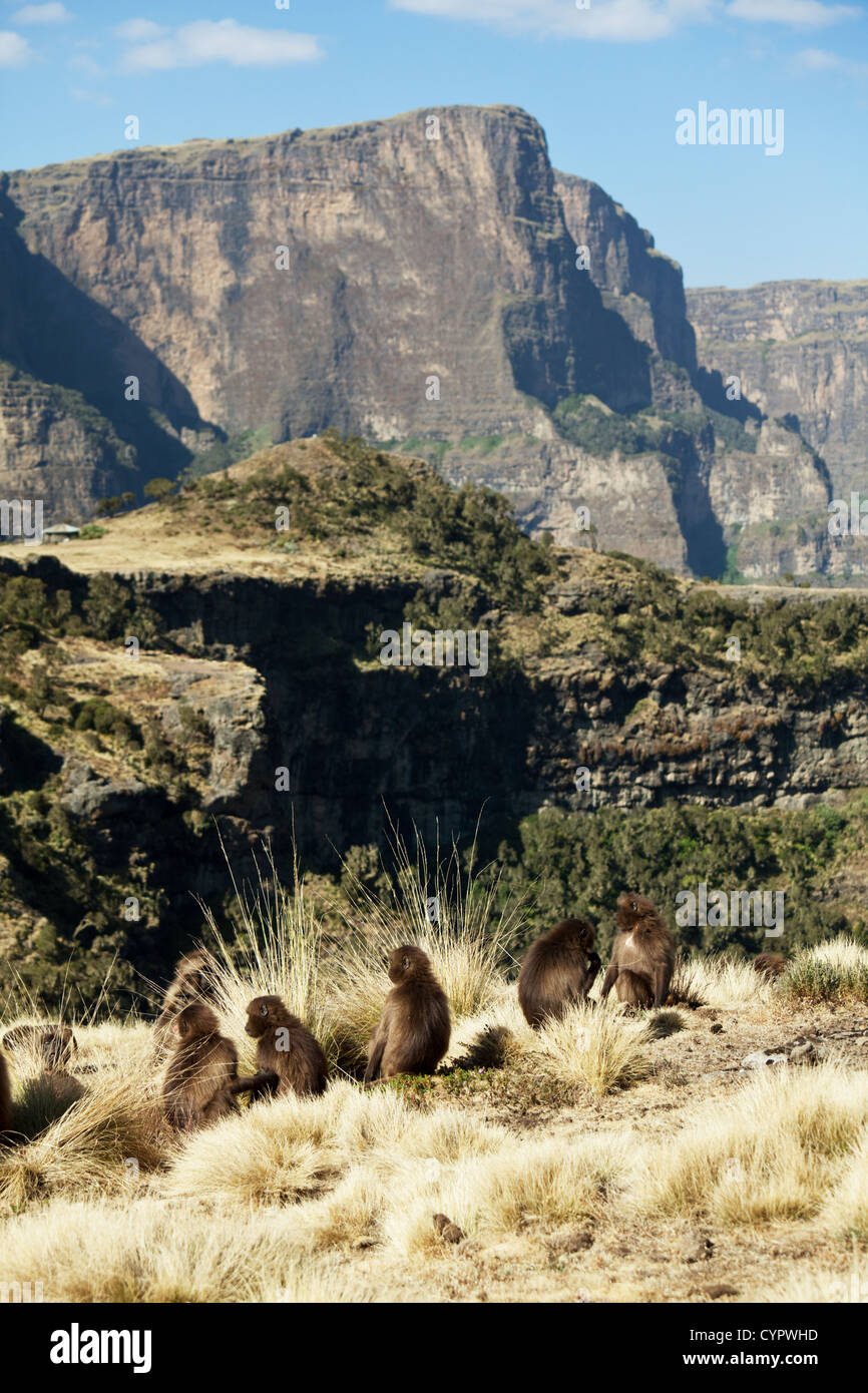 Ethiopian landscapes hi-res stock photography and images - Alamy