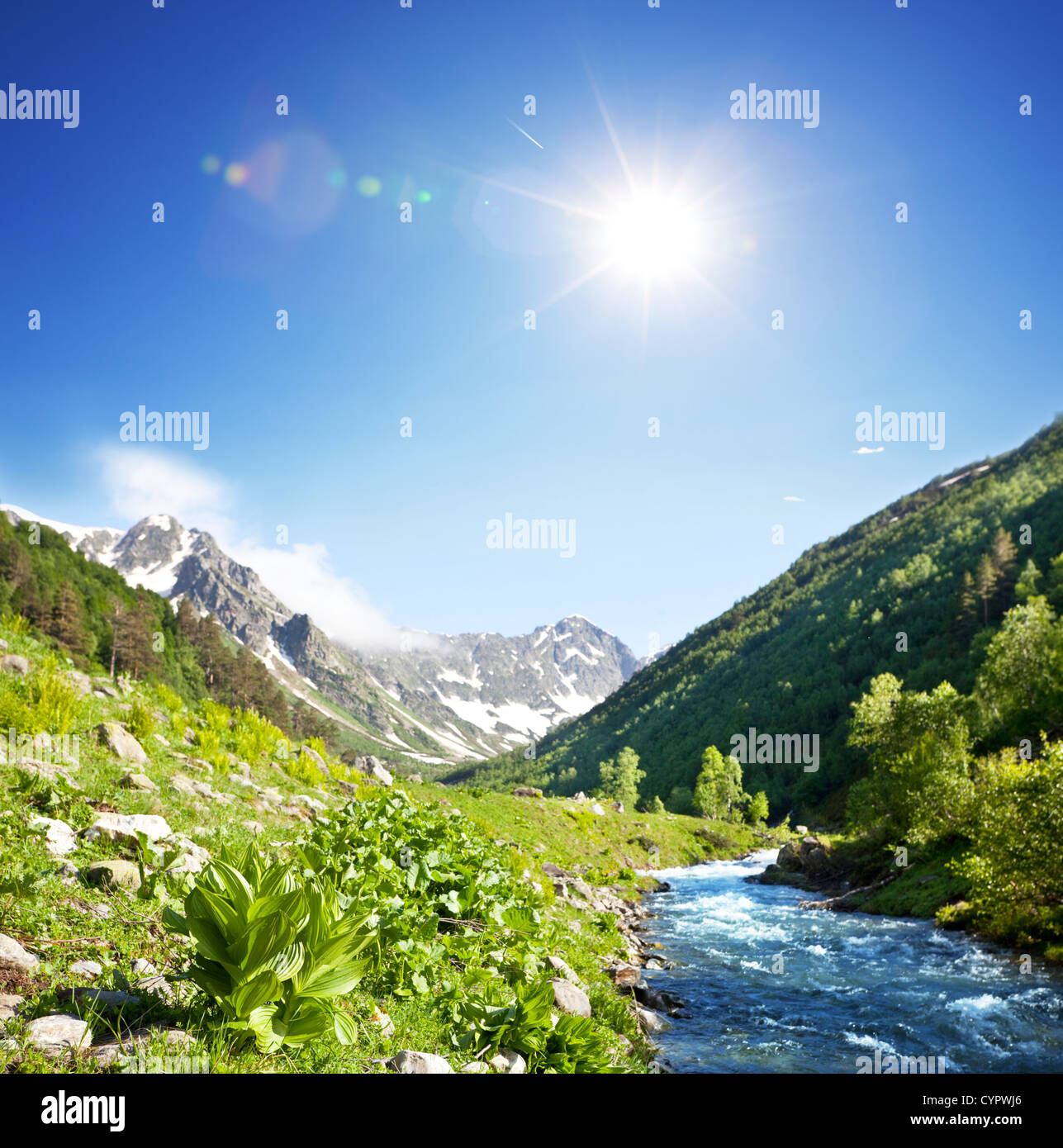Clean mountain river Stock Photo - Alamy