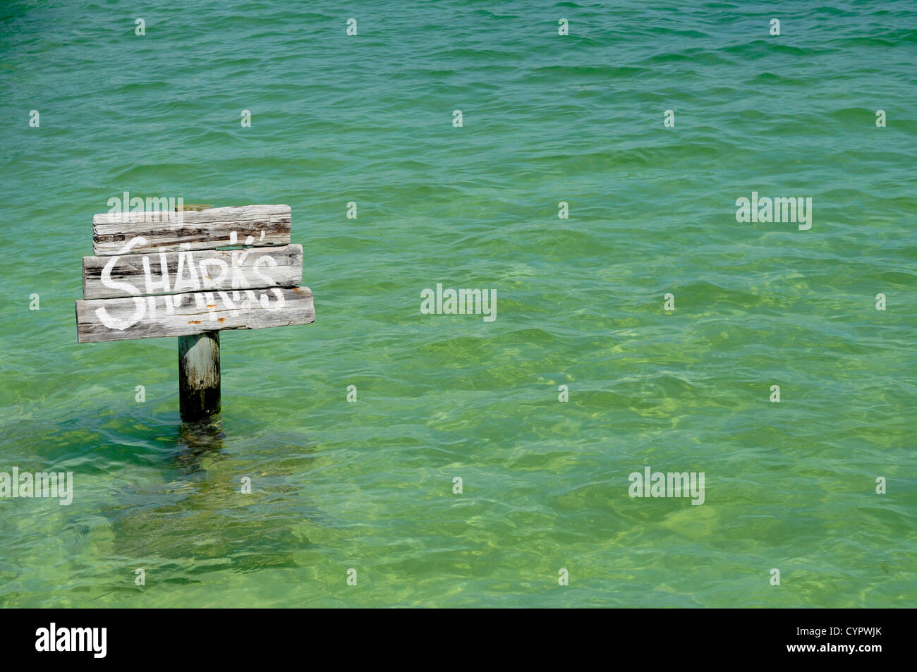 Danger Sharks Sign in a beautiful green coloured sea Stock Photo - Alamy