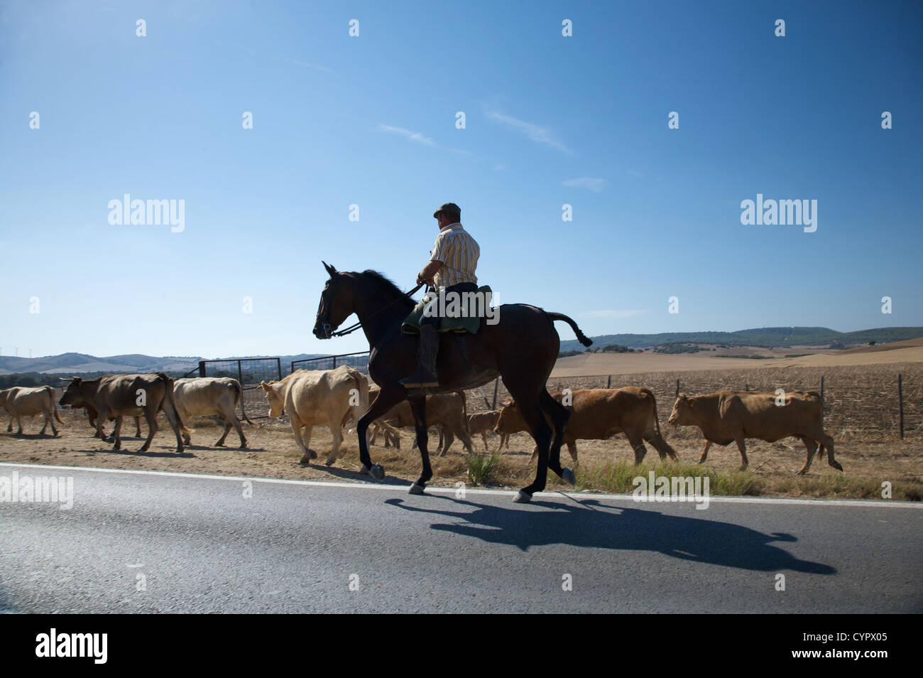 Spanish cowboy hi-res stock photography and images - Alamy