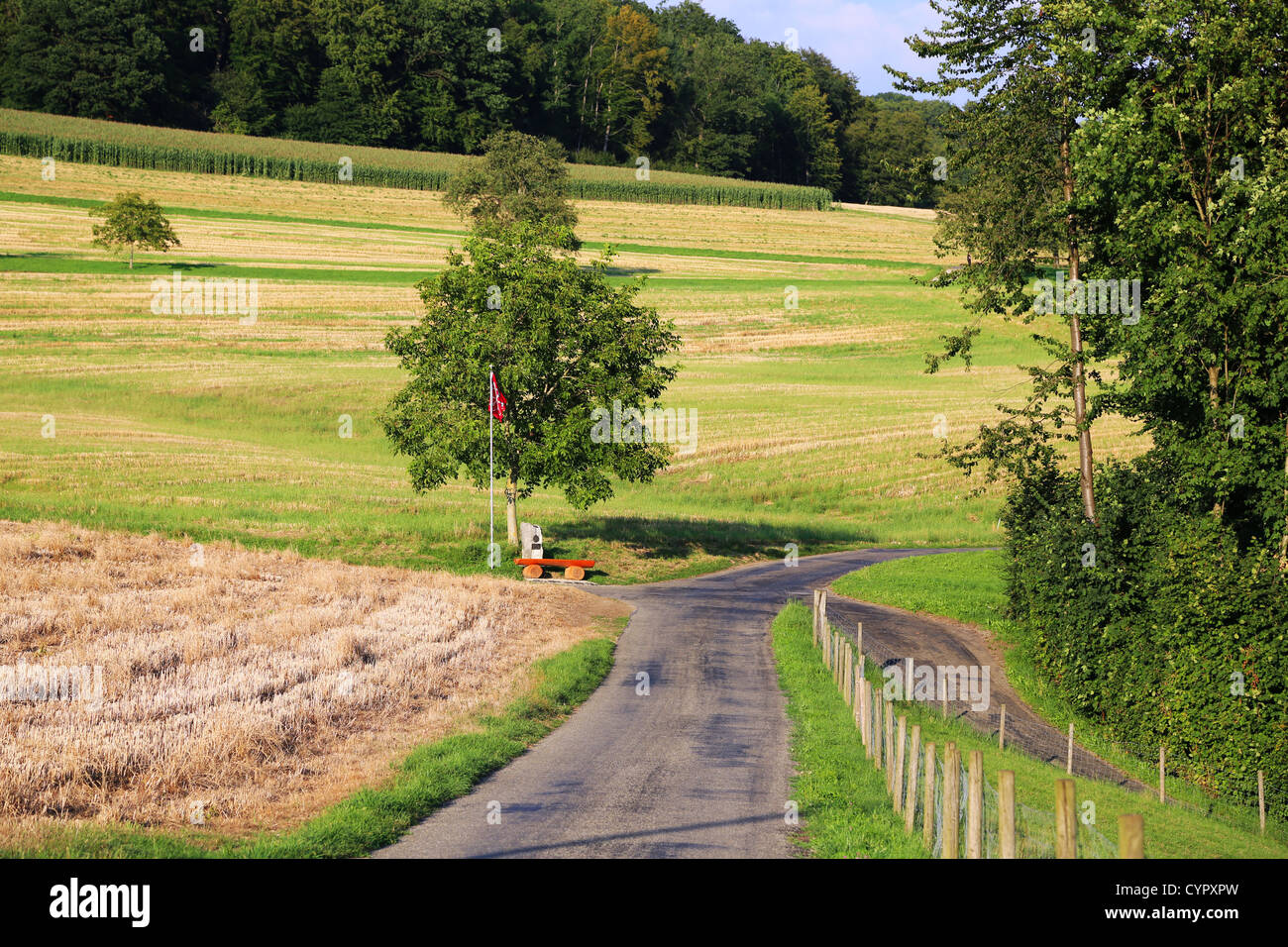 Country path with trees and filed Stock Photo - Alamy