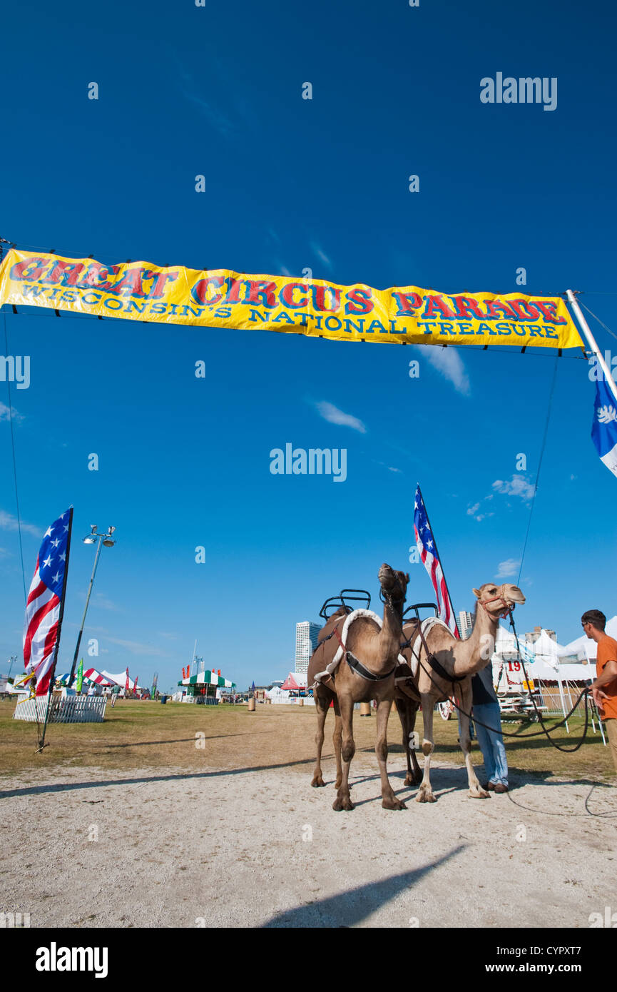 Parade of camels hi-res stock photography and images - Alamy