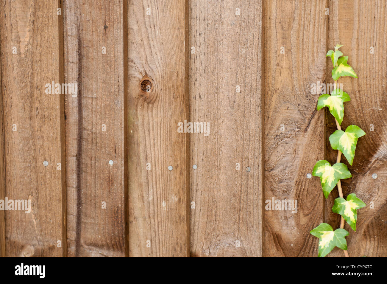 Fence creep hi-res stock photography and images - Alamy