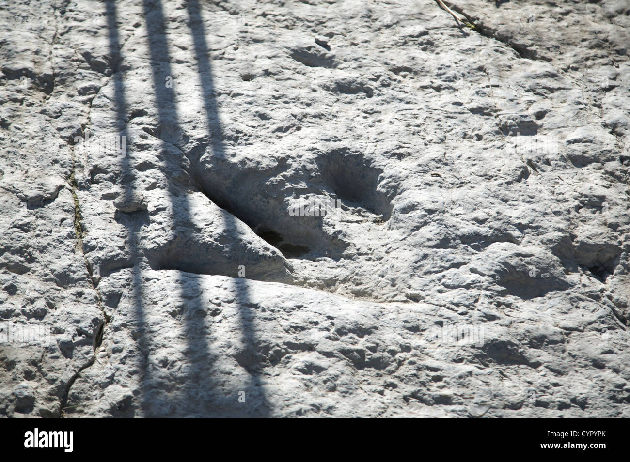 Jurassic track hi-res stock photography and images - Alamy