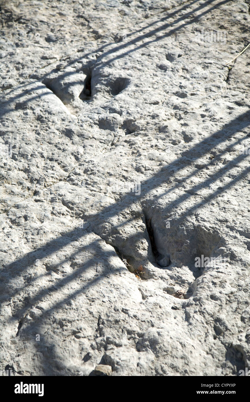 Access track hi-res stock photography and images - Alamy