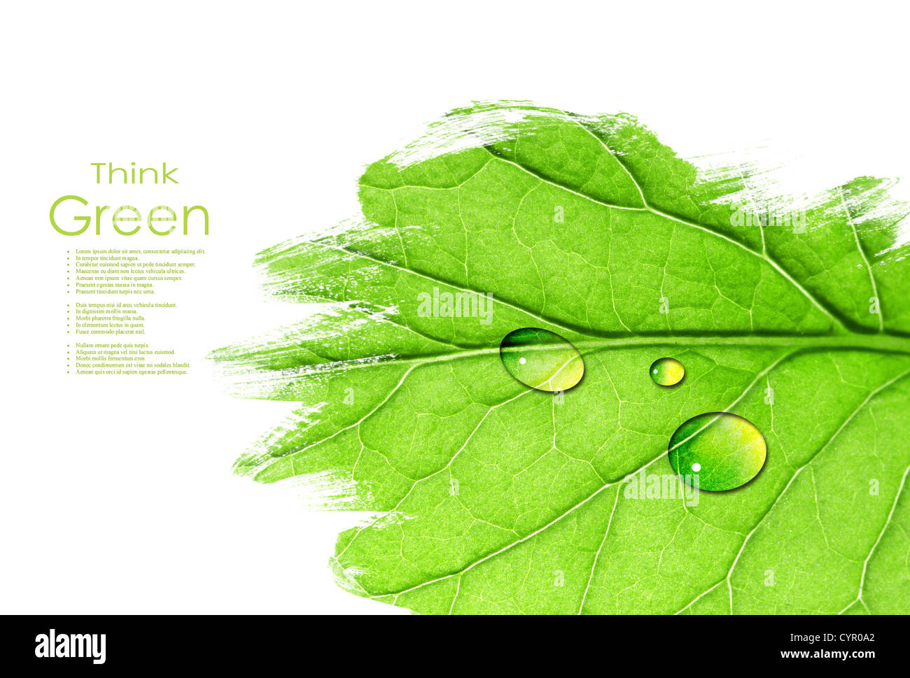 Leaf background with space for text Stock Photo - Alamy