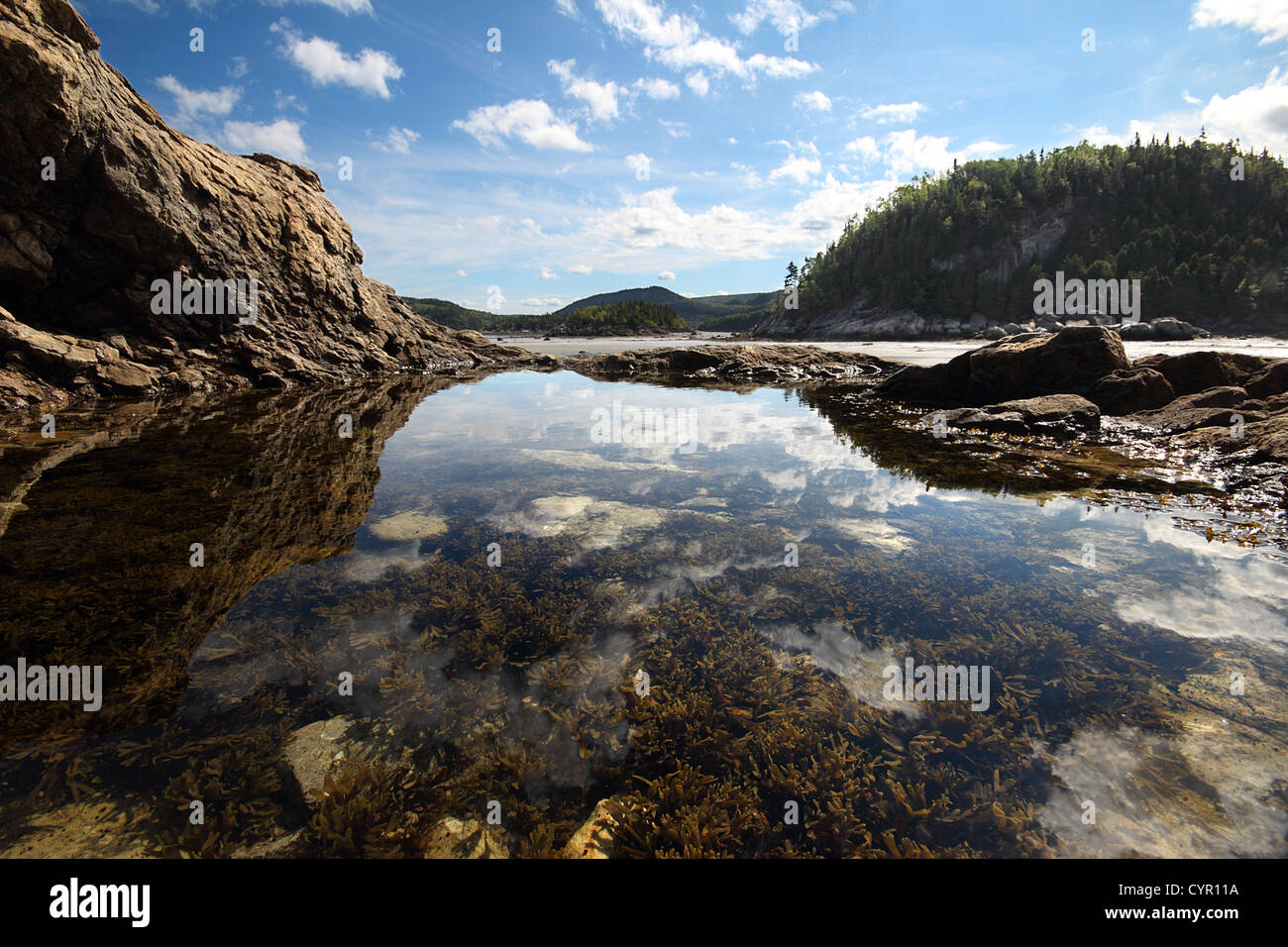 Reflections on water, Parc du Bic, Québec, Canada Stock Photo - Alamy