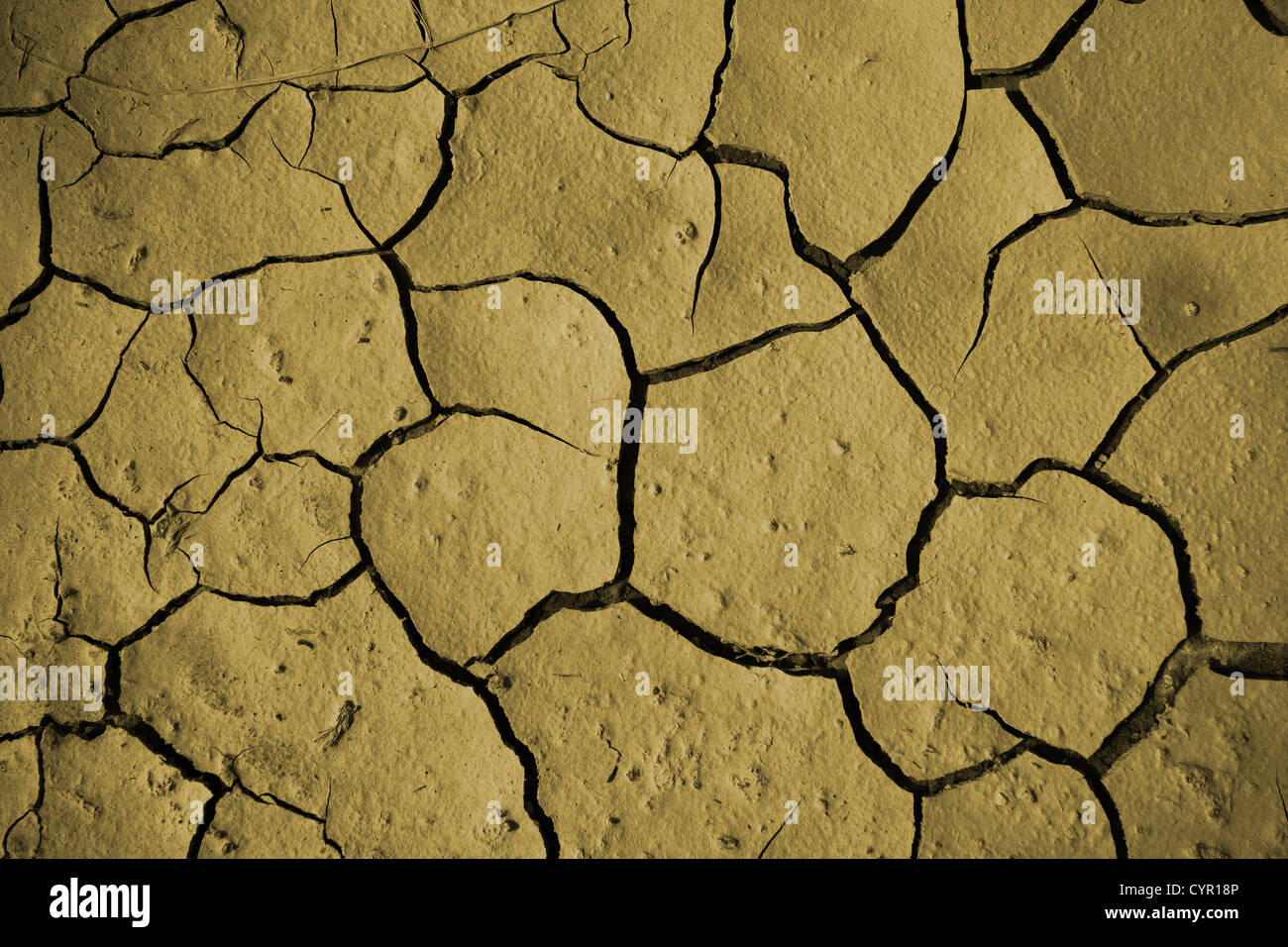 Texture of dried mud dried field hi-res stock photography and images ...