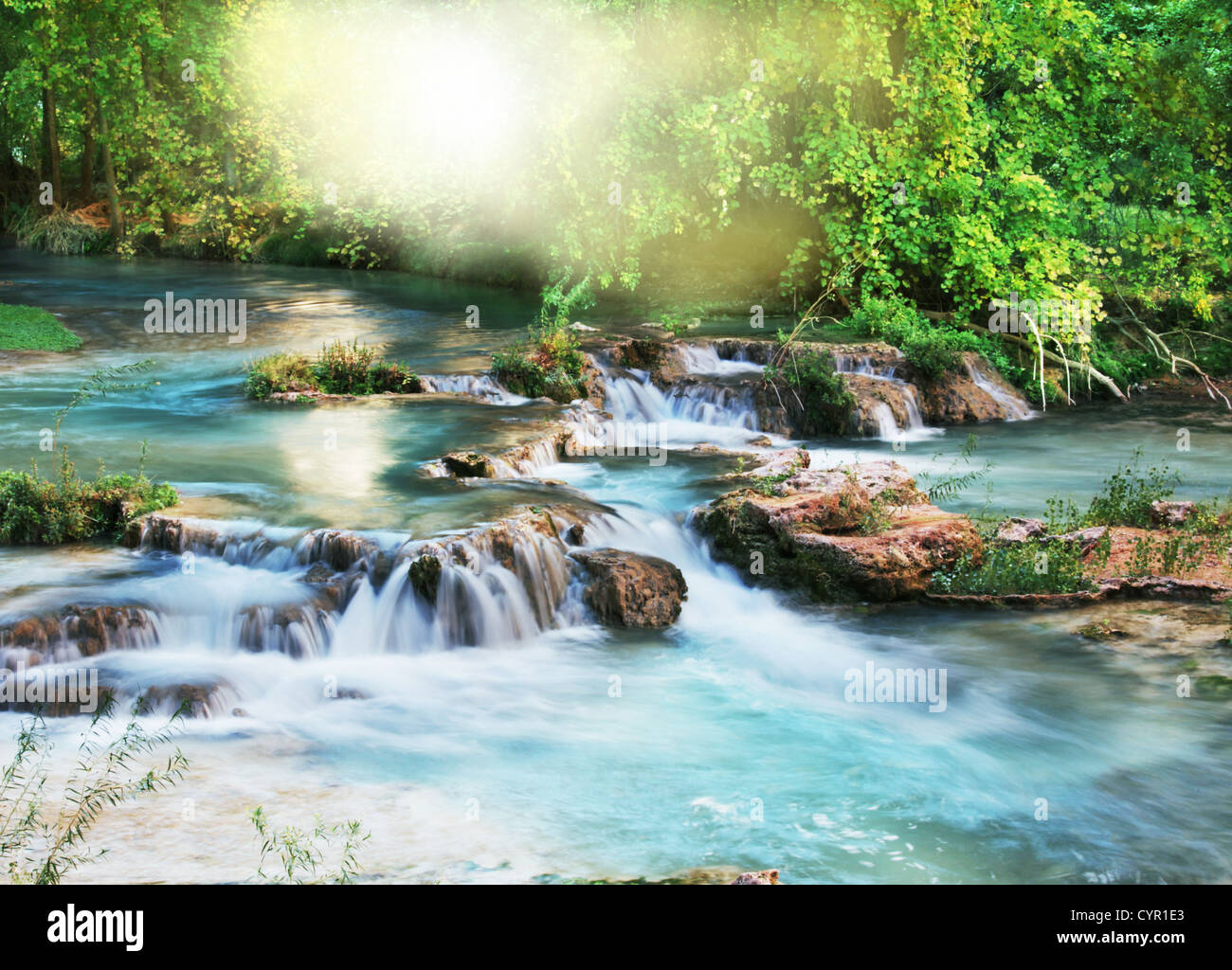 river in tropical forest Stock Photo - Alamy