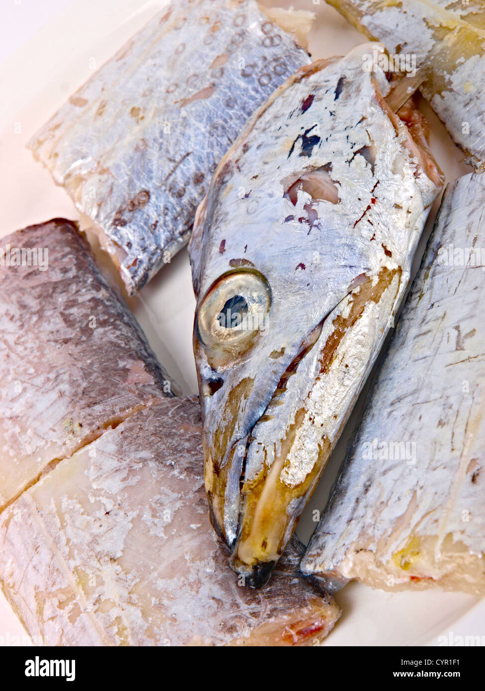 Fresh Conger fish Stock Photo - Alamy