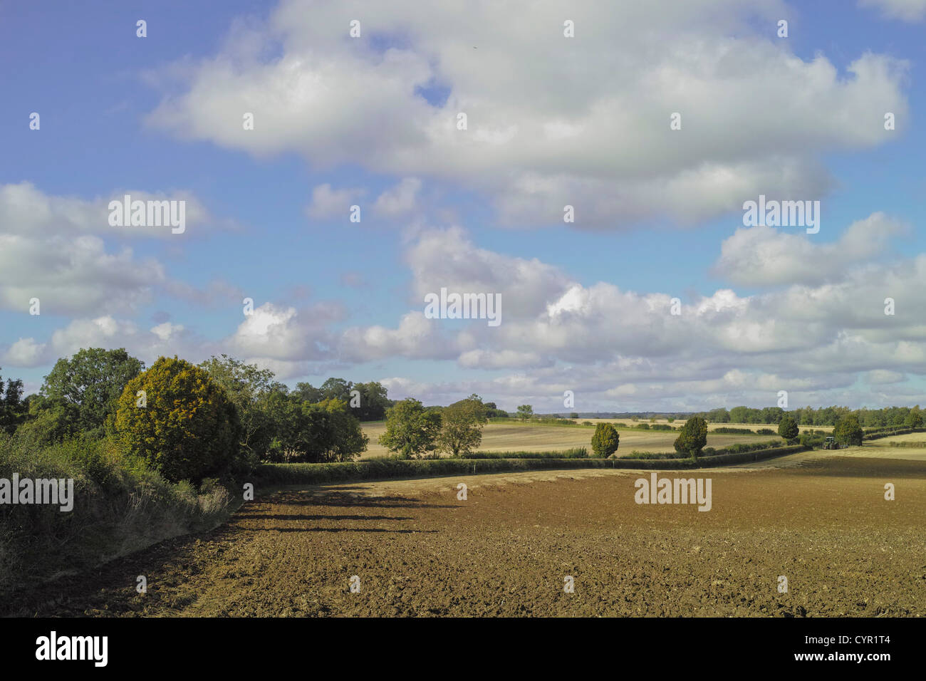 classic english countryside england uk Stock Photo - Alamy