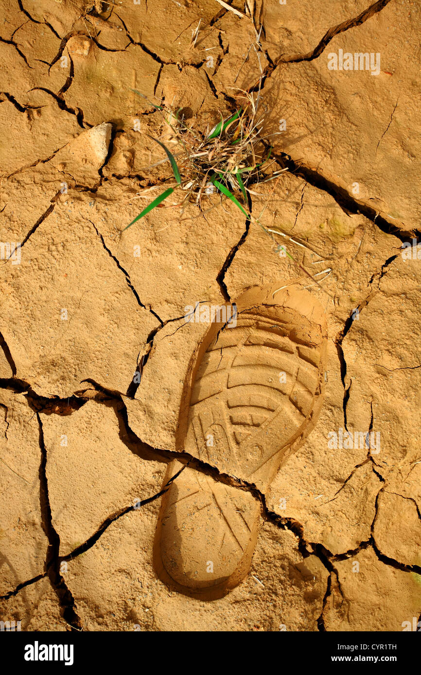 dried land with step print and grass Stock Photo - Alamy