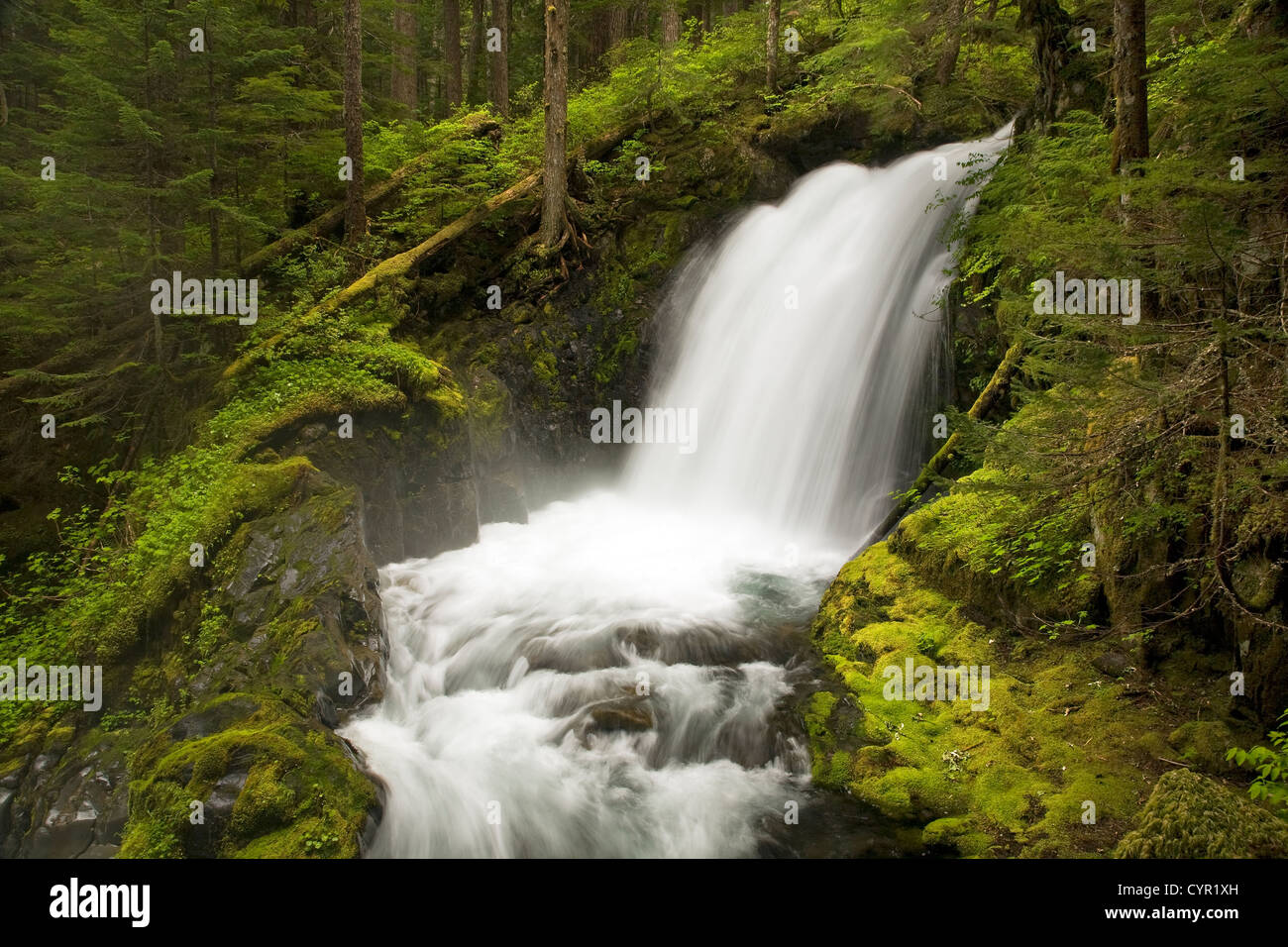 Boulder creek falls hi-res stock photography and images - Alamy