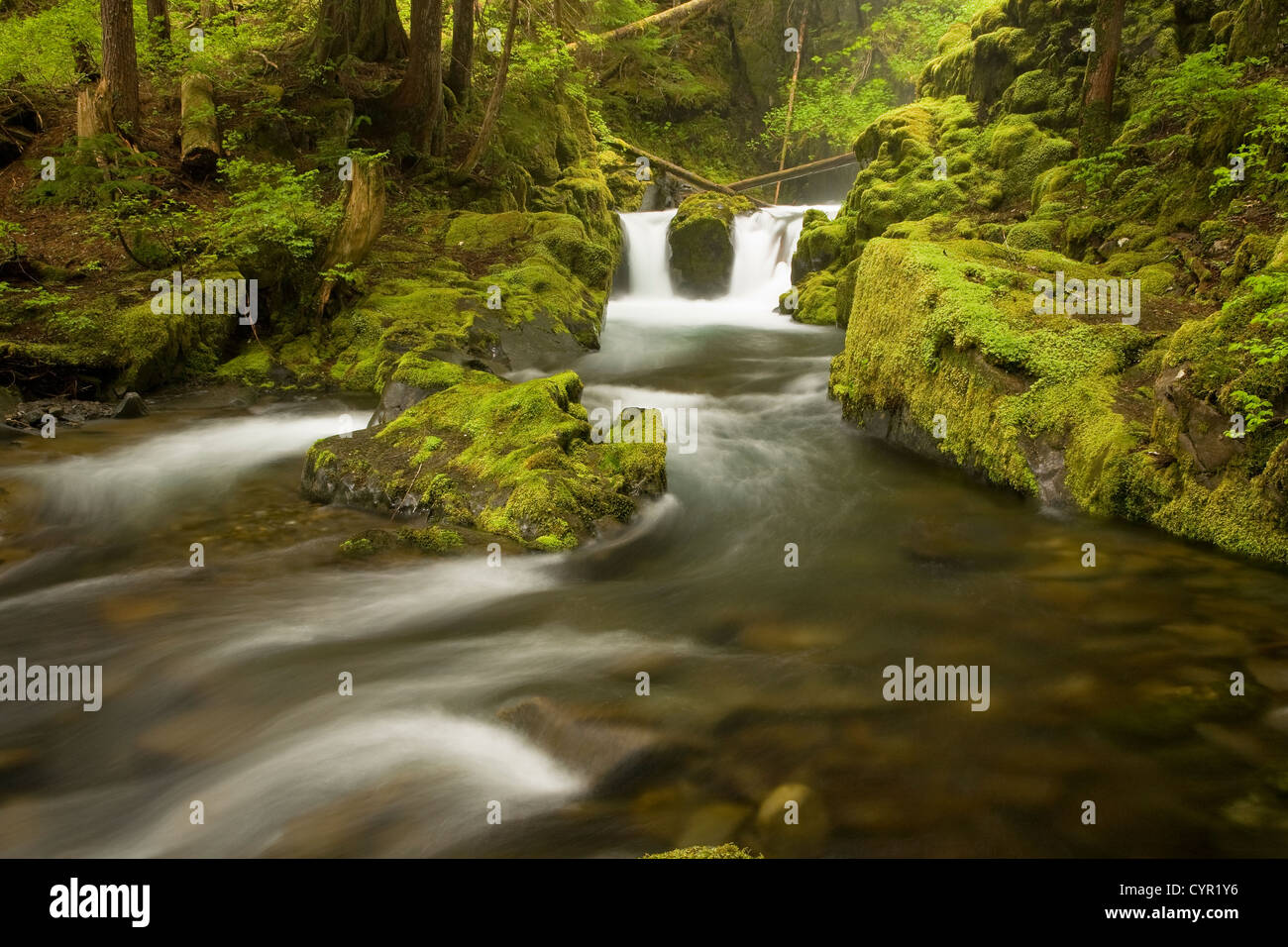 WA05744-00...WASHINGTON - Boulder Creek below Lower Boulder Creek Falls ...