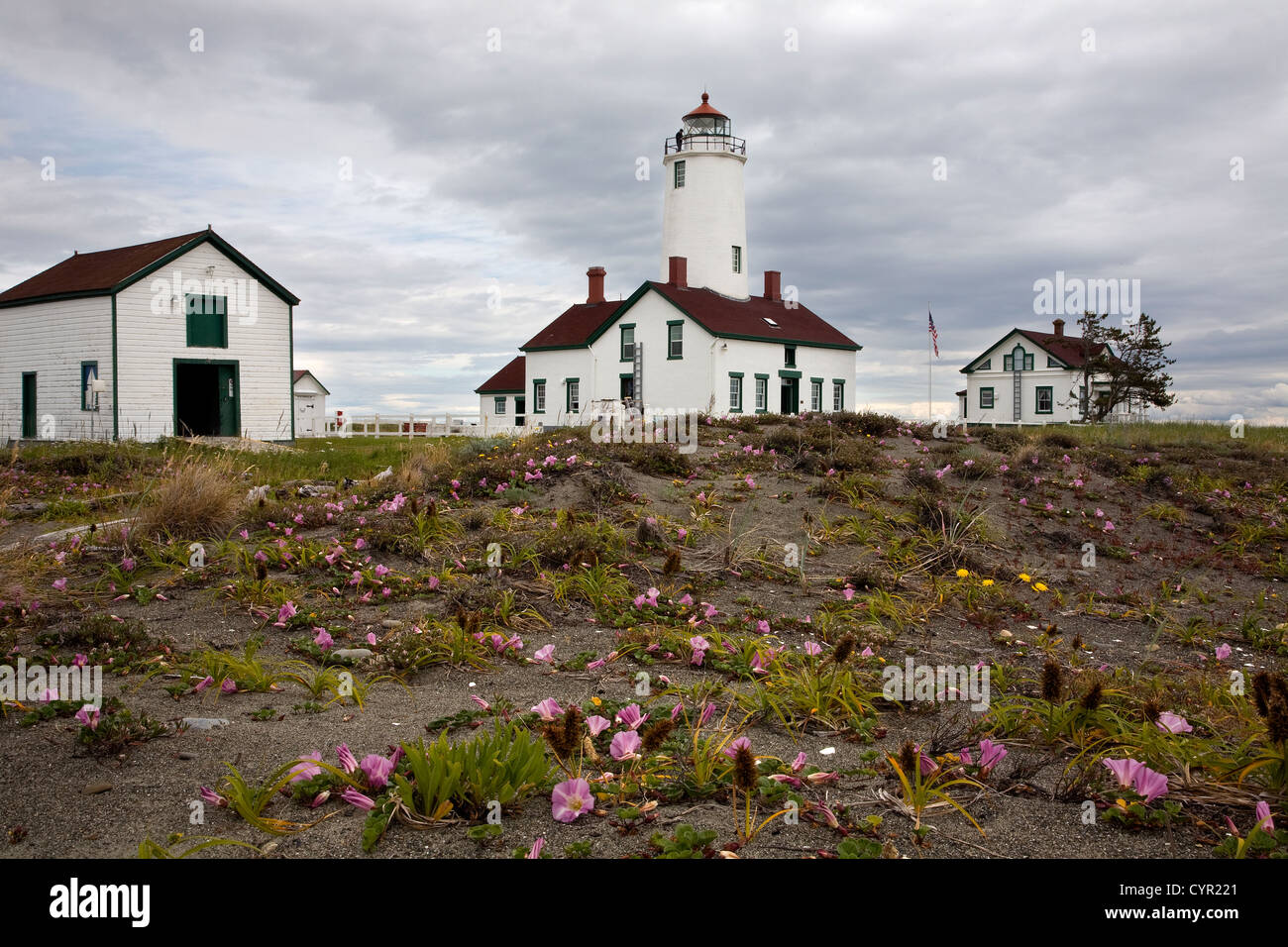 WA05777-00...WASHINGTON - The New Dungeness Lighthouse on the Dungeness ...