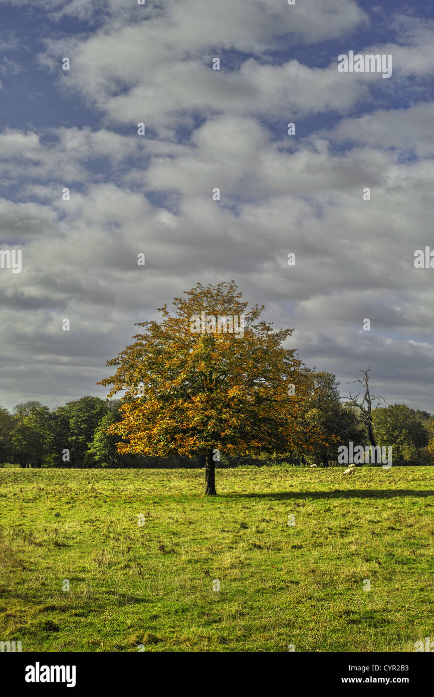 classic english countryside england uk Stock Photo - Alamy