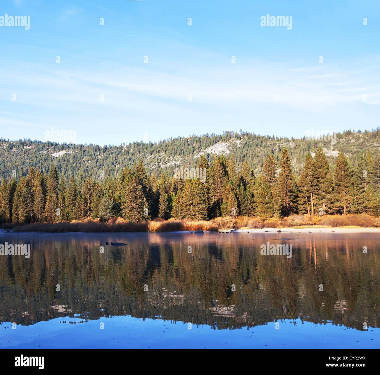 Lake in morning Stock Photo - Alamy