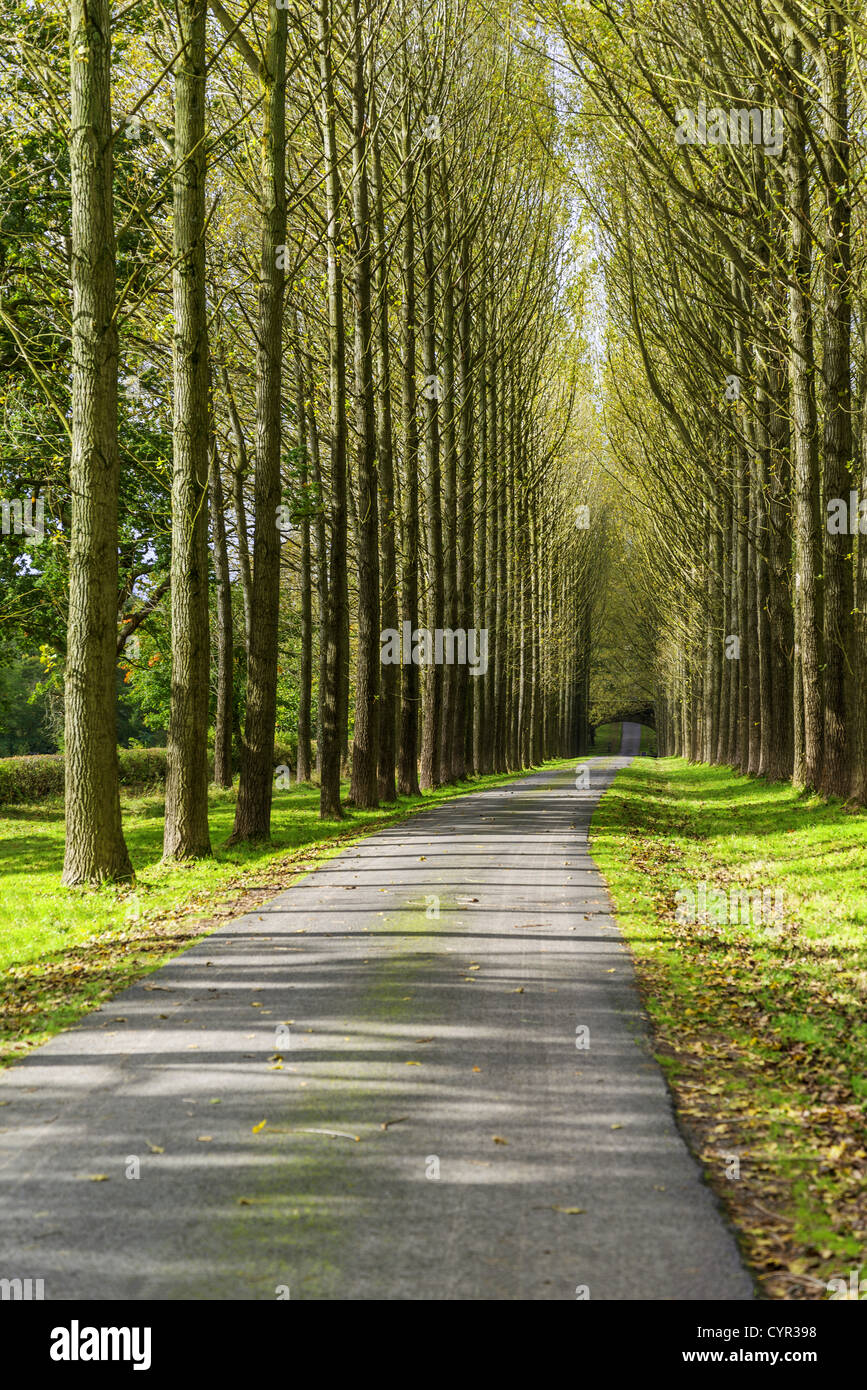 classic english countryside england uk Stock Photo - Alamy