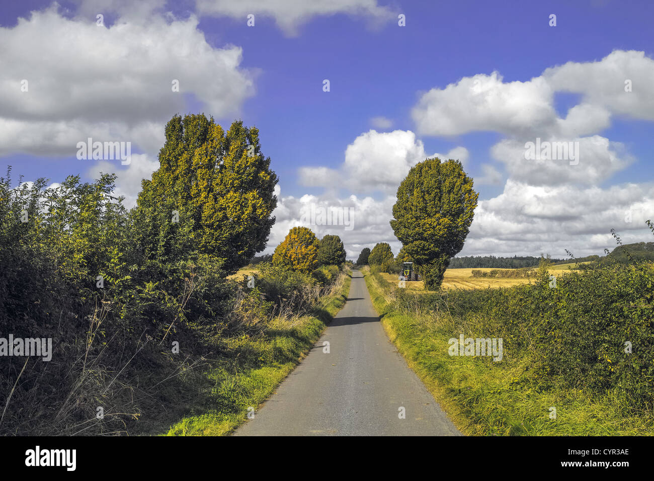 classic english countryside england uk Stock Photo - Alamy