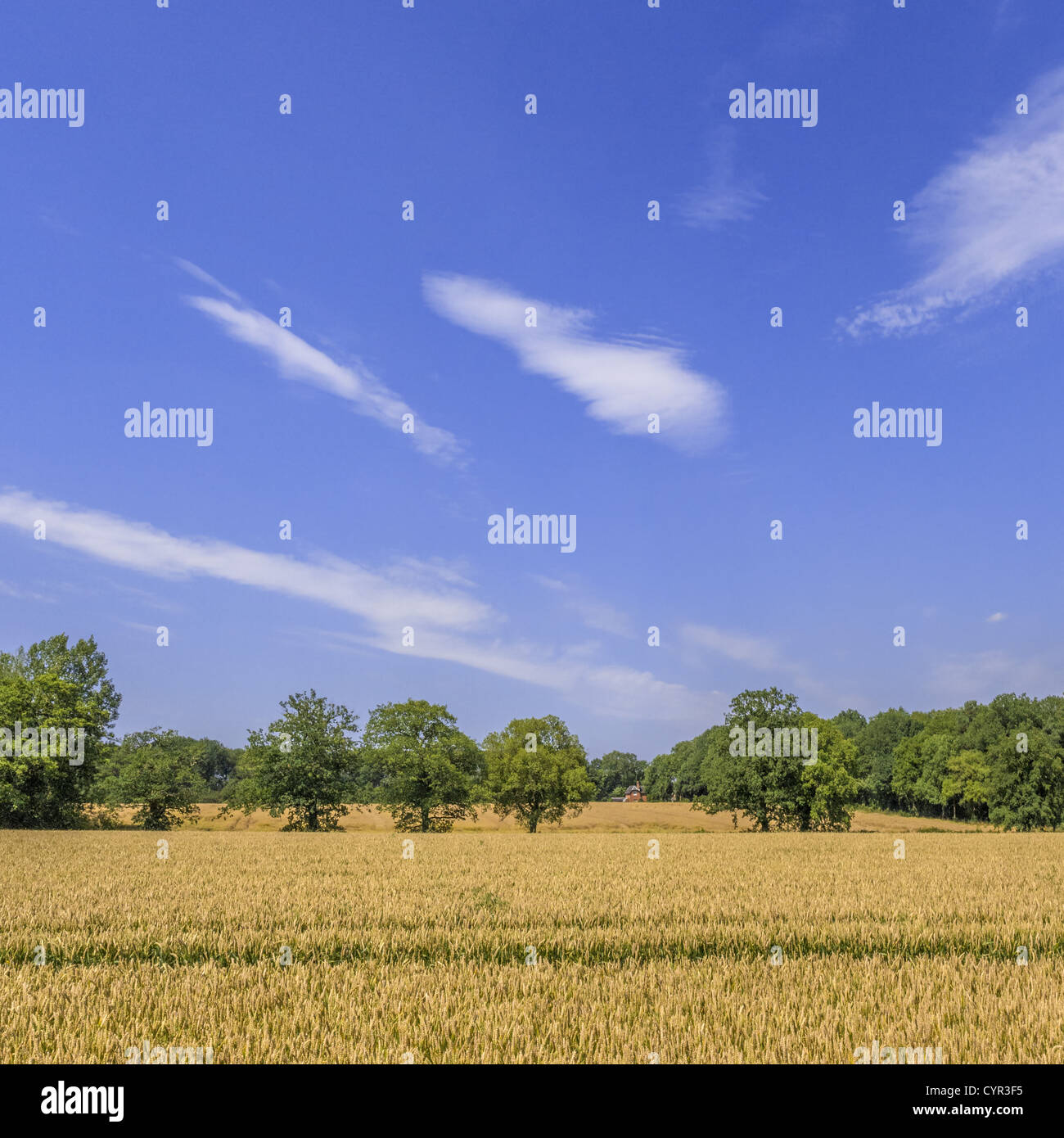classic english countryside england uk Stock Photo - Alamy