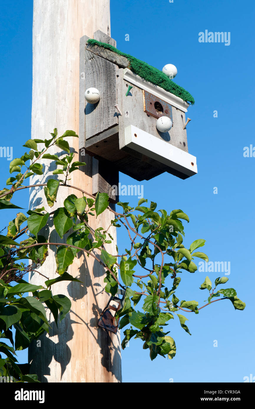 Golf themed birdhouse Stock Photo - Alamy