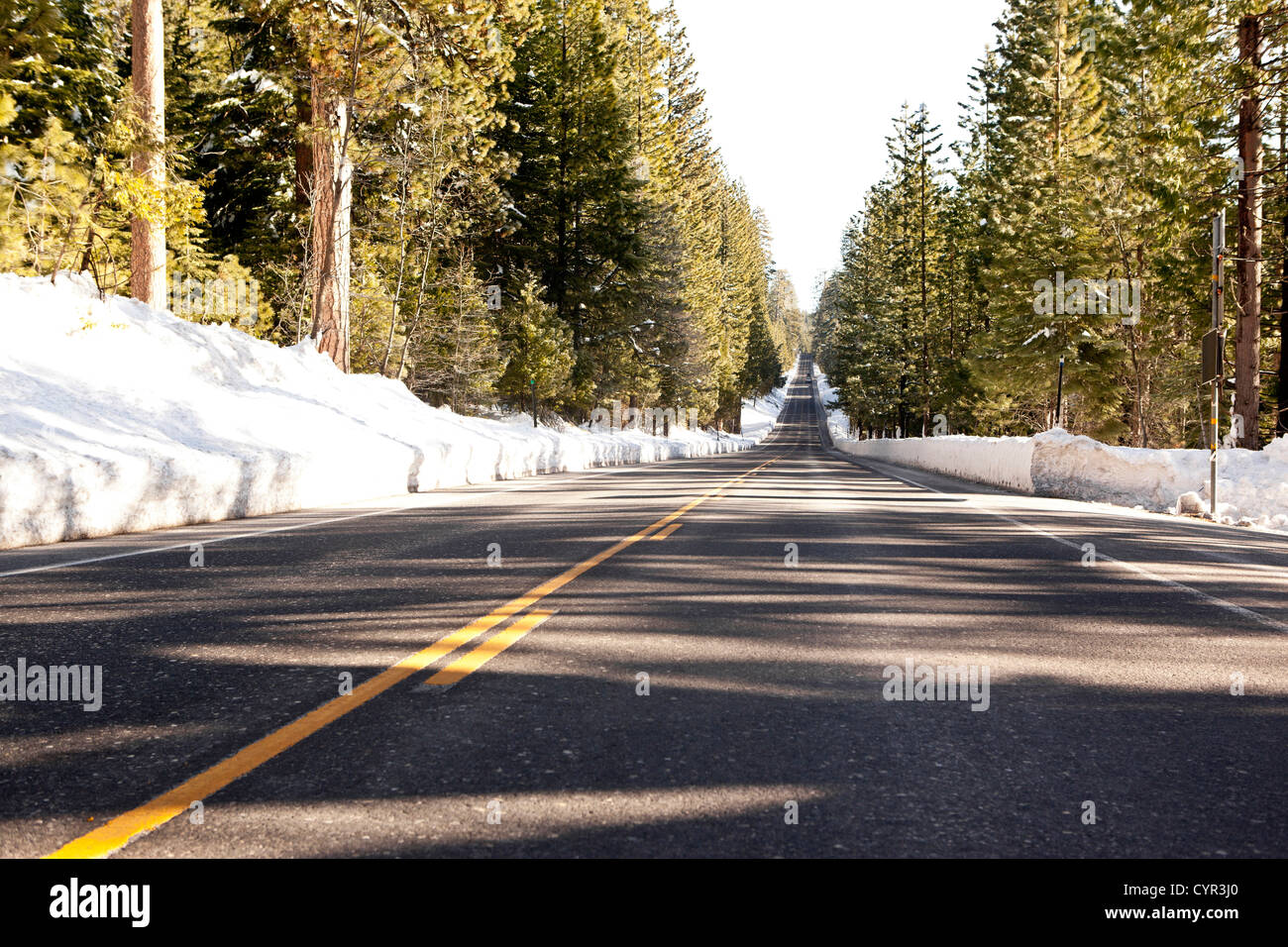 Road through tree covered hi-res stock photography and images - Alamy