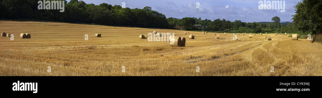 classic english countryside england uk Stock Photo - Alamy
