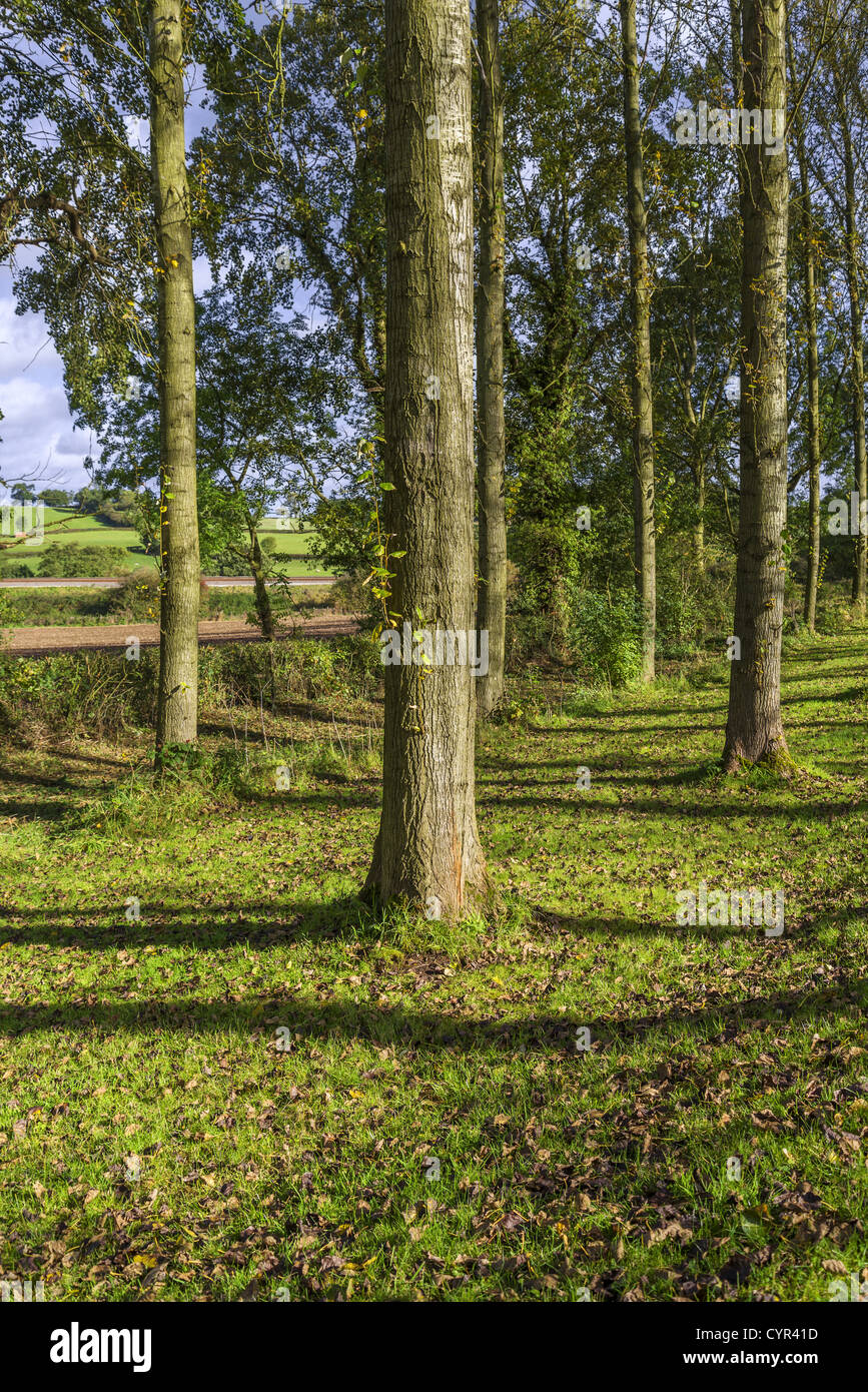 classic english countryside england uk Stock Photo - Alamy