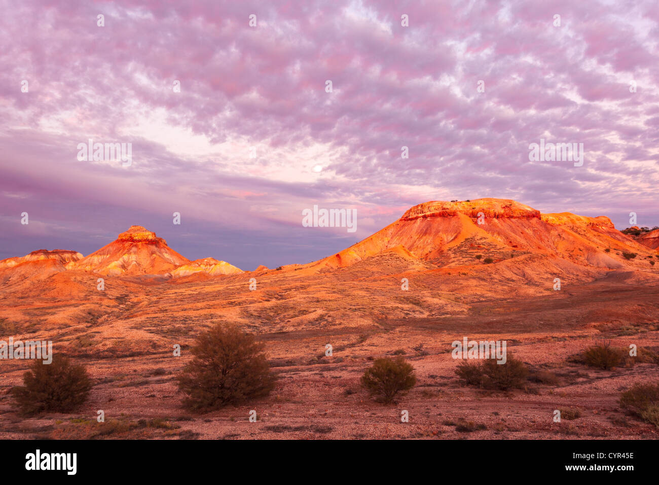 Australian Desert Desolate Stock Photos & Australian Desert Desolate ...