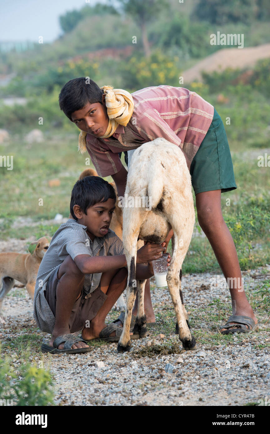 Indiaanse Herder PHOTO ESSAY: The Last Semi Nomadic Yak Herders Of The