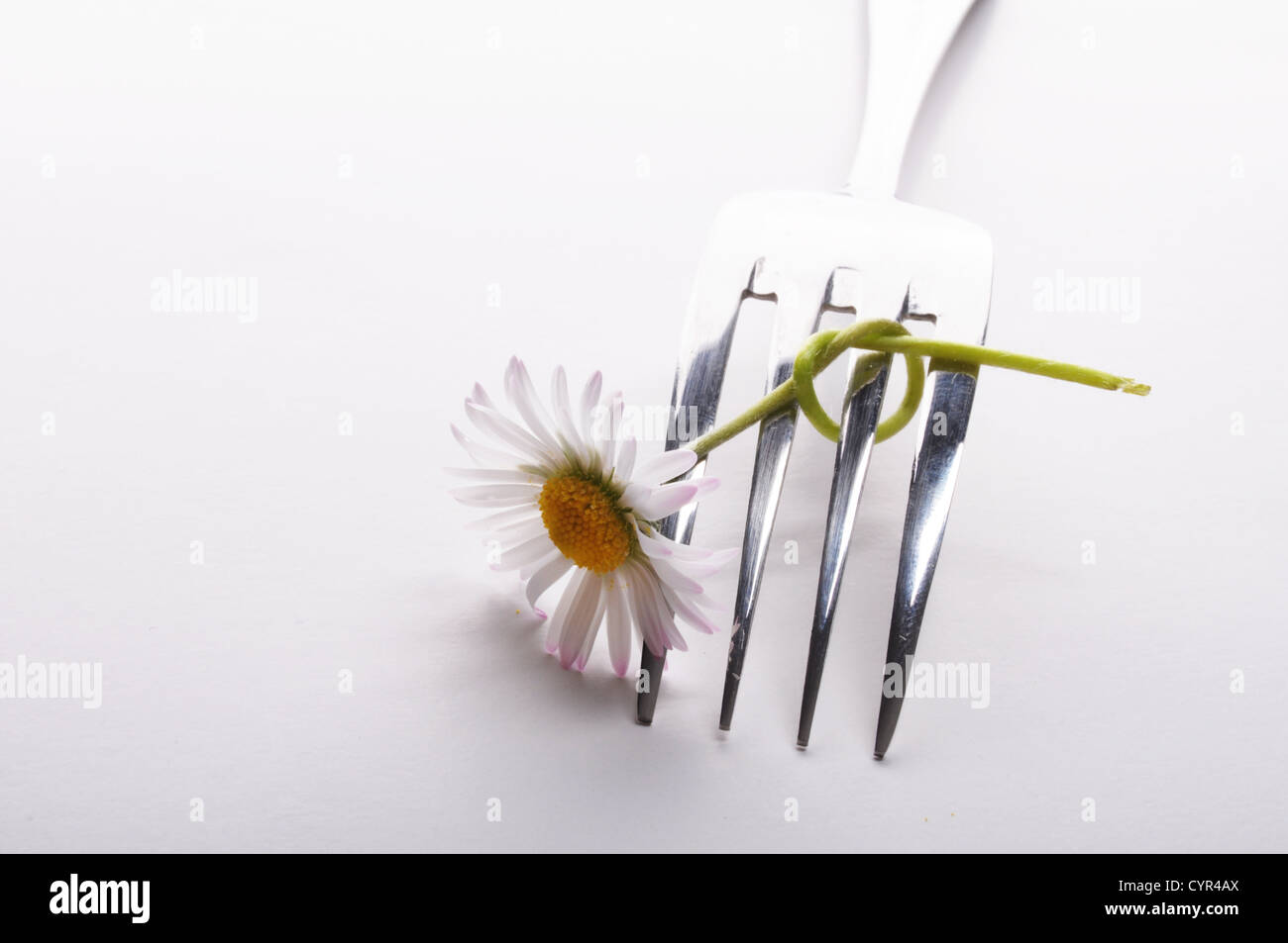 flower and fork isolated on a white background with copyspace showing ...