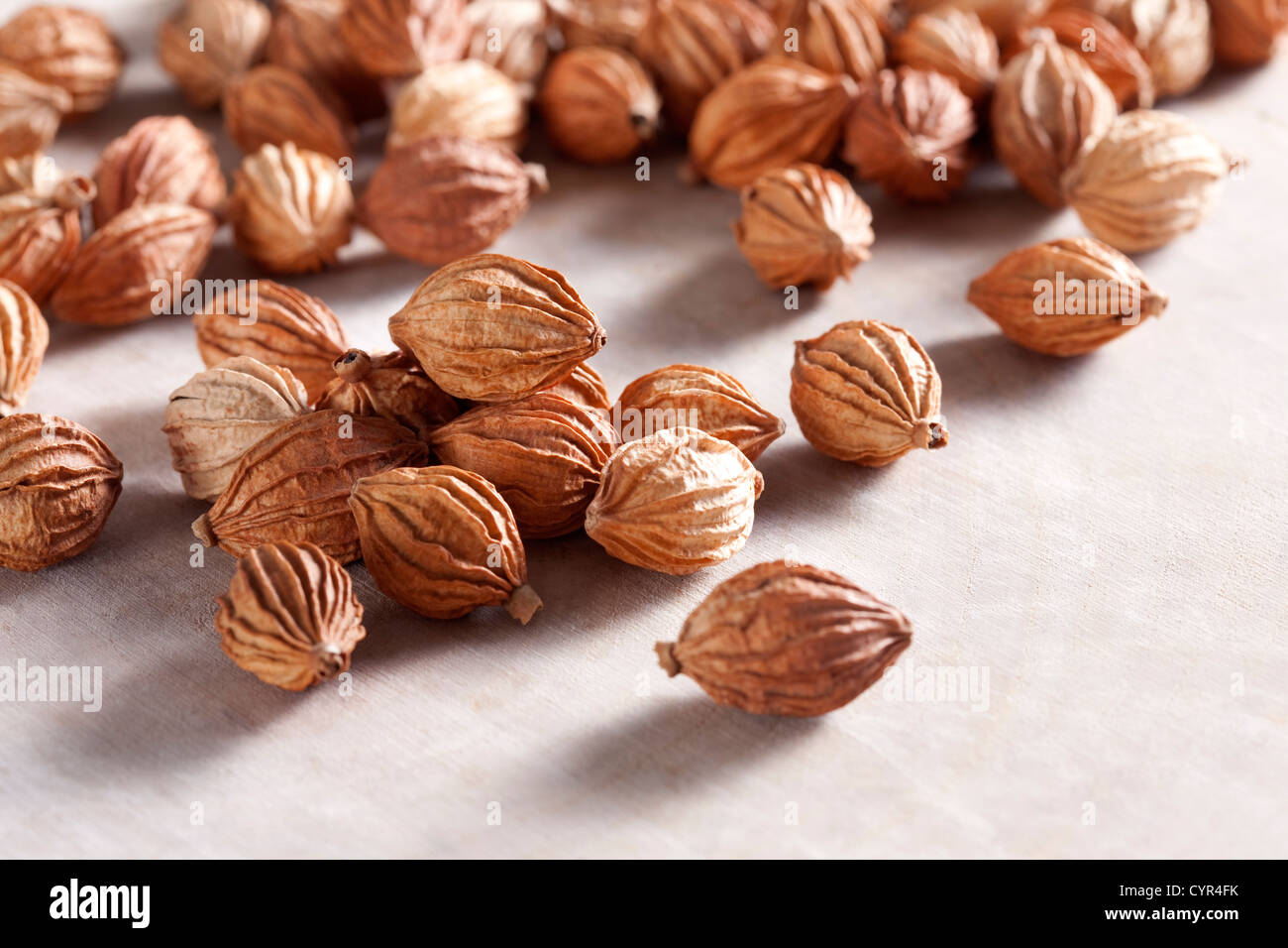 Amomum hi-res stock photography and images - Alamy