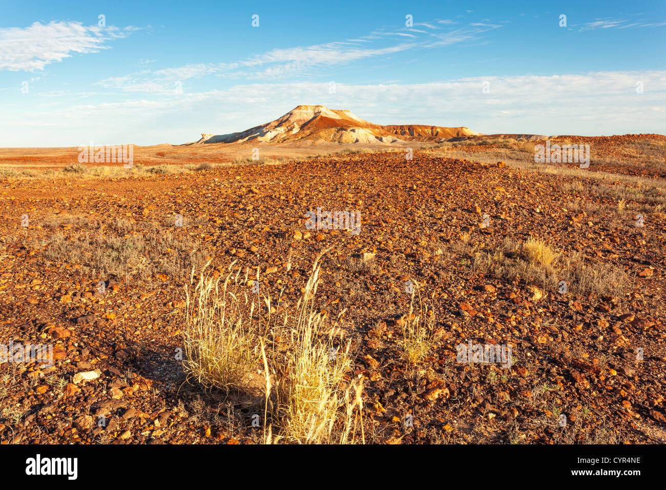 Late afternoon in the Painted Desert at Arckaringa Station in outback ...