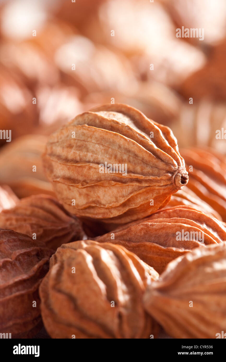 Amomum hi-res stock photography and images - Alamy