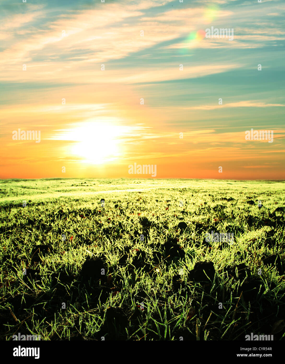 field on sunrise Stock Photo - Alamy