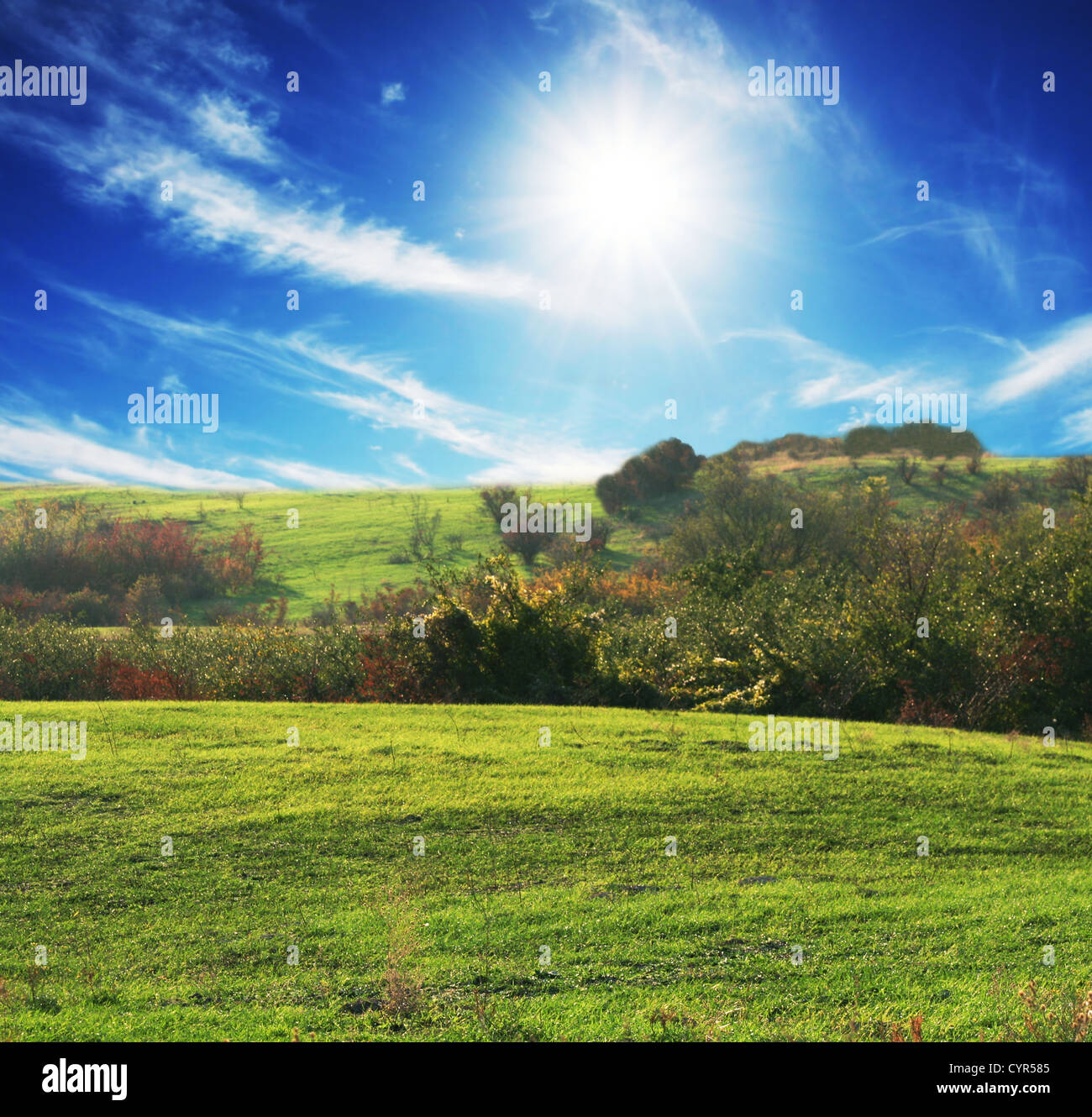 Field and sunny sky Stock Photo - Alamy