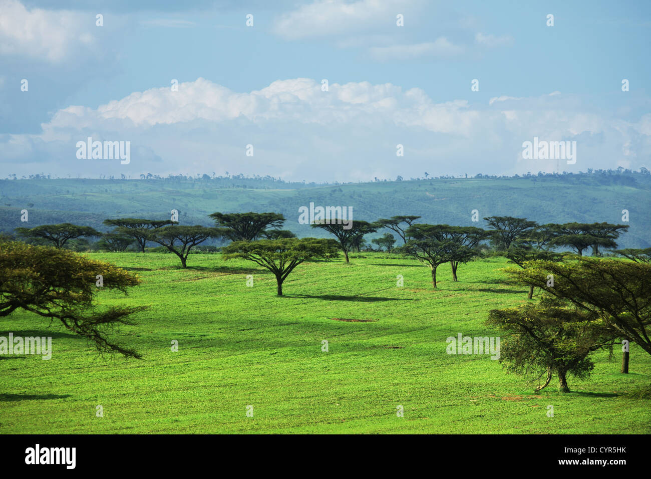 Kenyan landscapes hi-res stock photography and images - Alamy