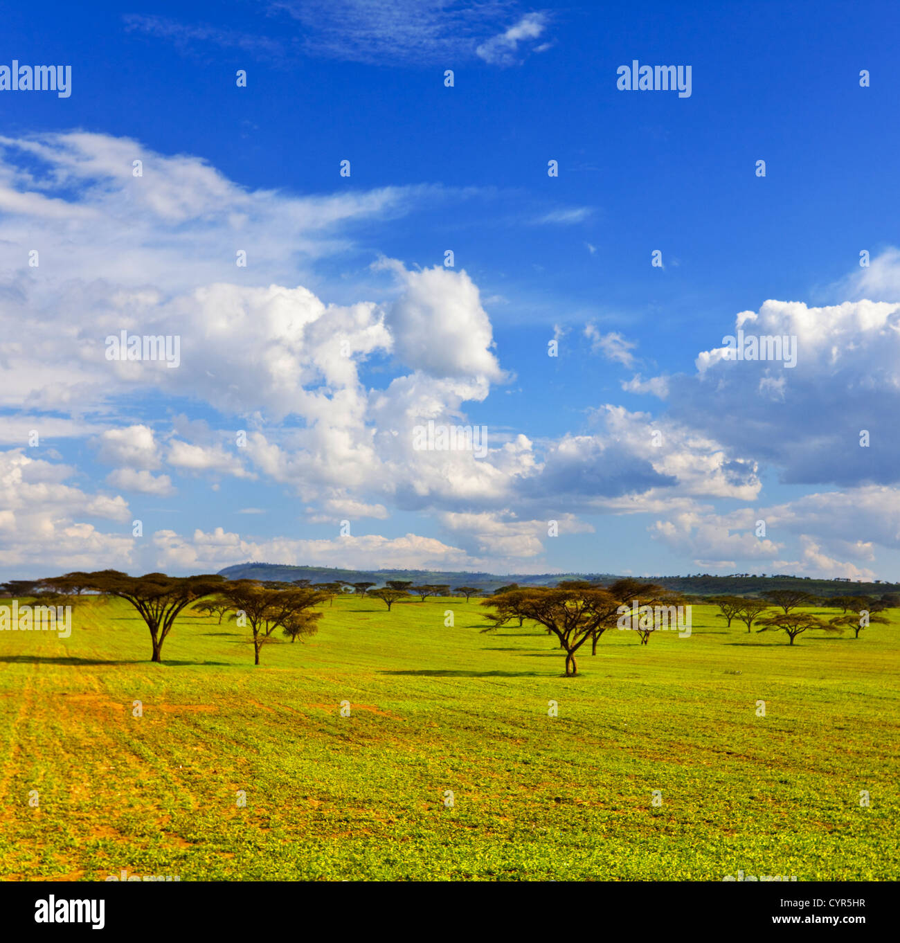 Kenyan landscapes hi-res stock photography and images - Alamy