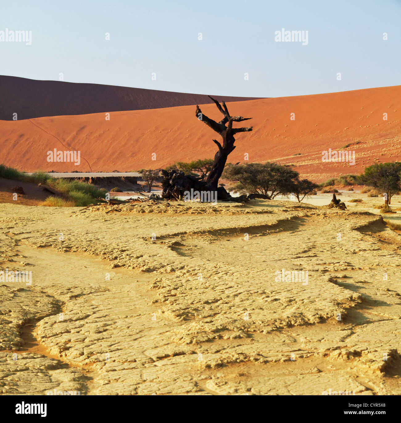 Dead valley in Namibia Stock Photo - Alamy