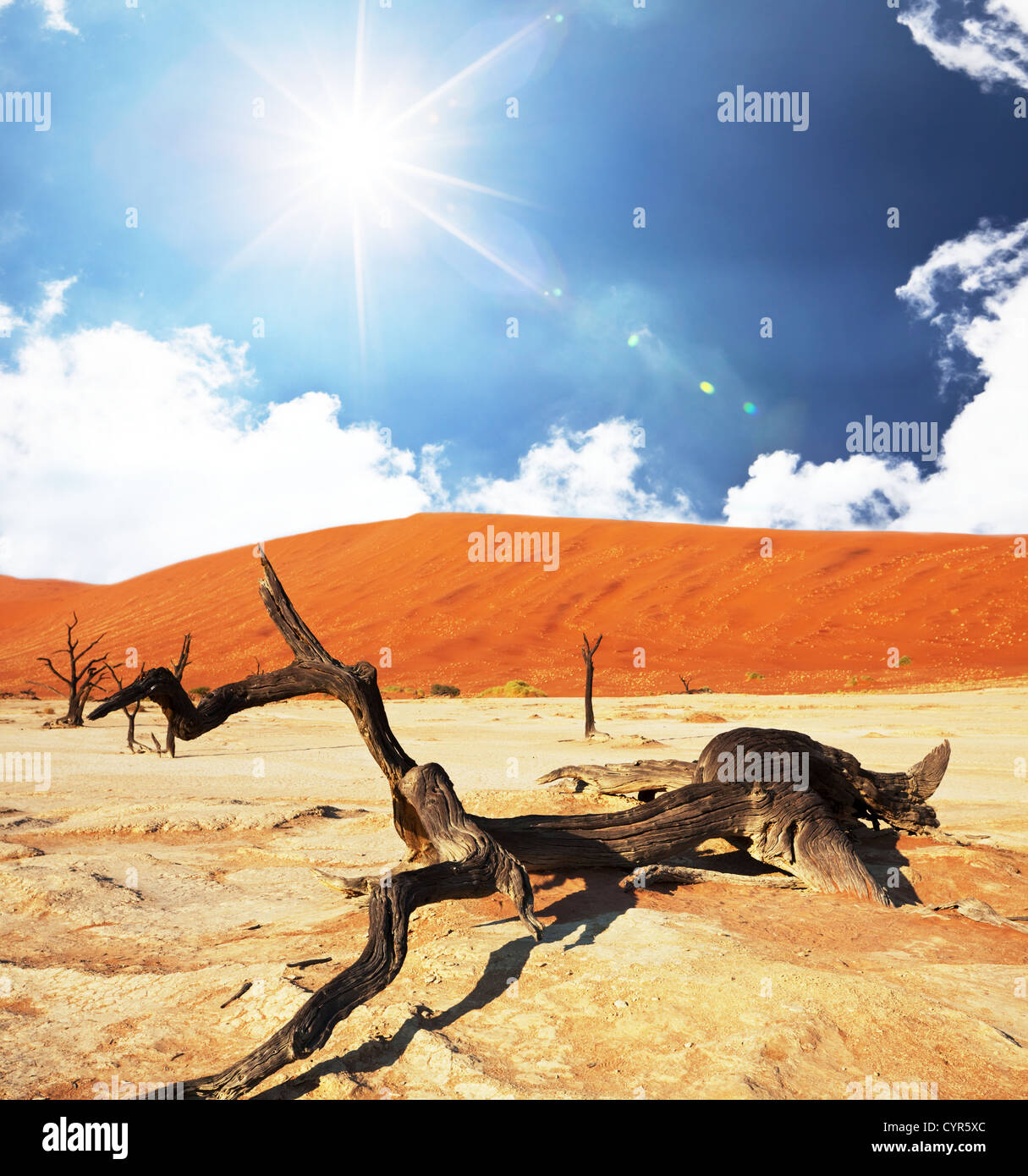 Dead valley in Namibia Stock Photo - Alamy