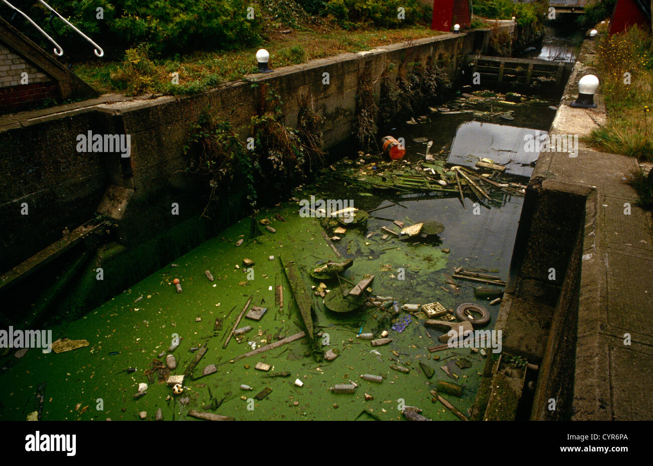 Rubbish and litter blocks the waterways of a canal in Stratford, east ...