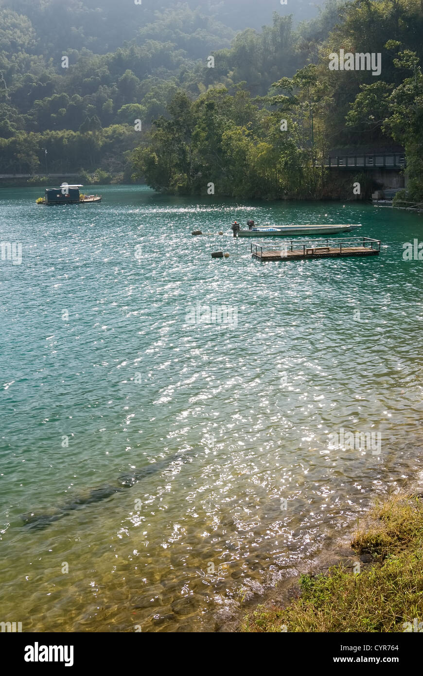 Nature environment green lifestyle sunny bright vertical nature hi-res ...
