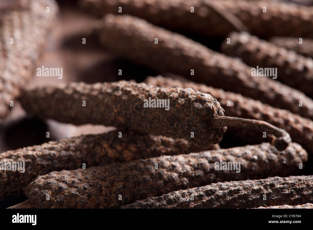 Close up of long pepper Stock Photo - Alamy