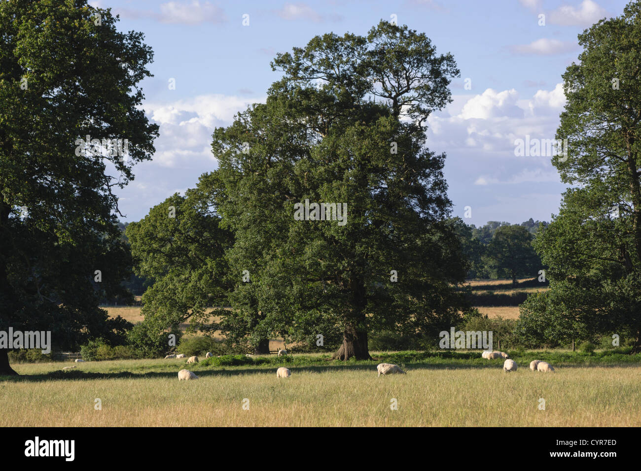 classic english countryside england uk Stock Photo - Alamy