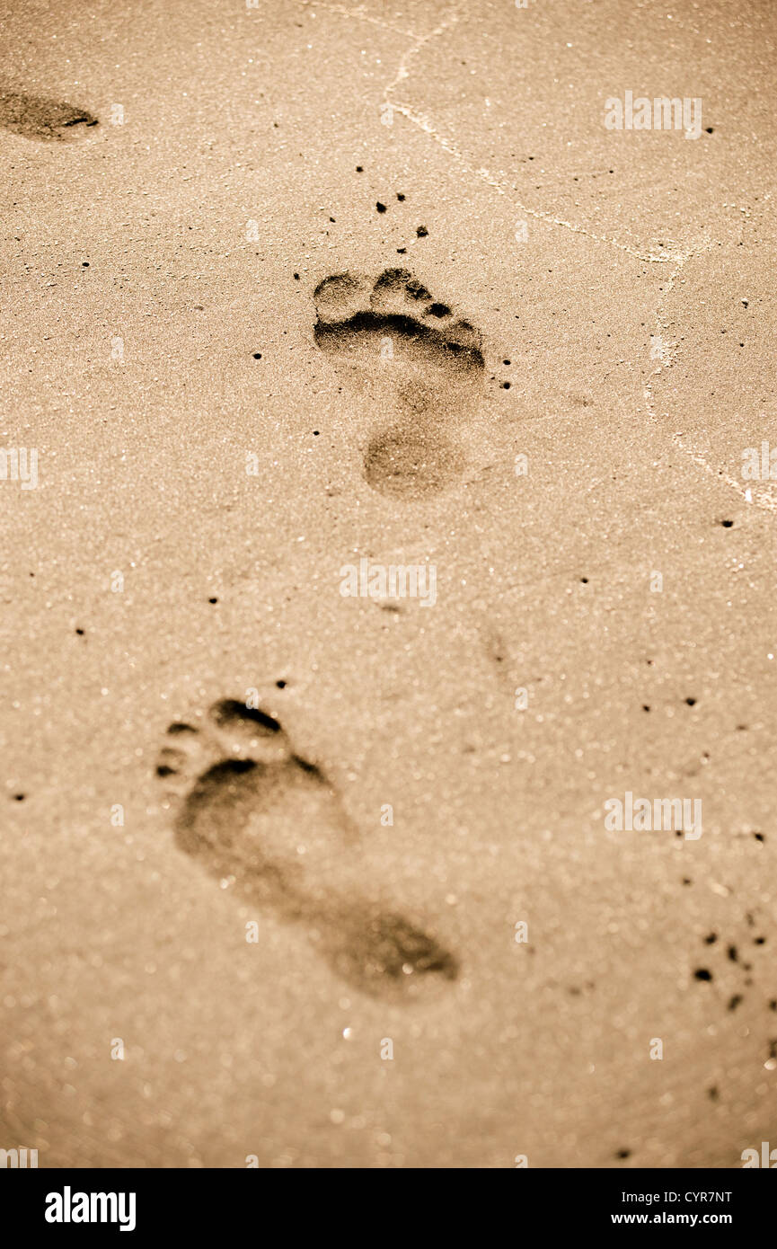 Footprints in sand on a tropical beach Stock Photo - Alamy
