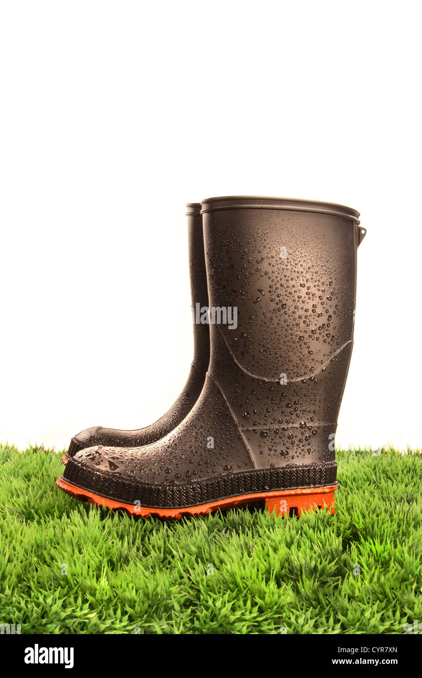 Rubber plant black and white hi-res stock photography and images - Alamy